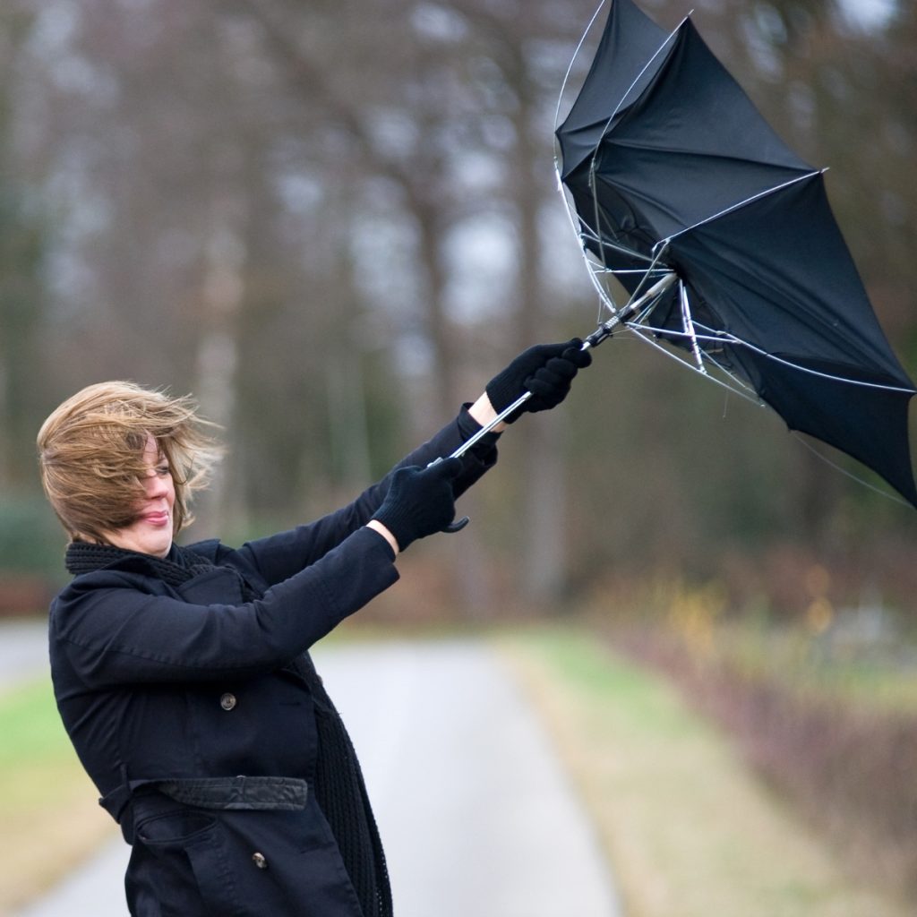 Cheese Jokes - Absolutely Jokes & Puns