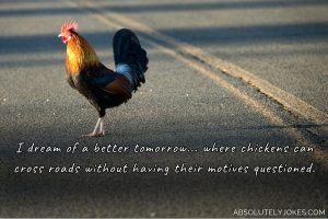 Chicken Jokes - Absolutely Jokes & Puns