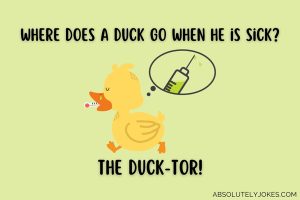 Duck Puns - Absolutely Jokes & Puns
