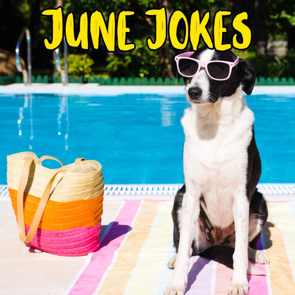 June Jokes - Absolutely Jokes & Puns