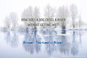 River Riddle - Absolutely Jokes & Puns